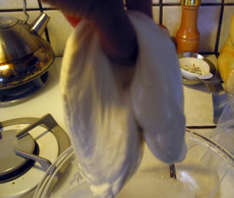 The Science of Making Cheese! | Science Project