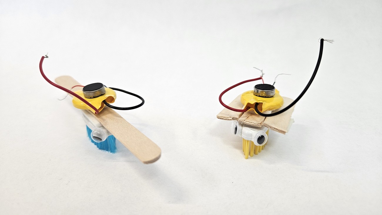 Bristlebot Shape and Motion Tracking | Science Project