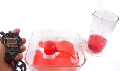 Model Your Blood Flow | STEM Activity