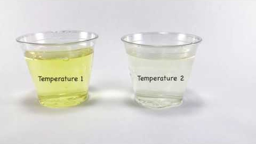 Stacking Liquids | STEM Activity