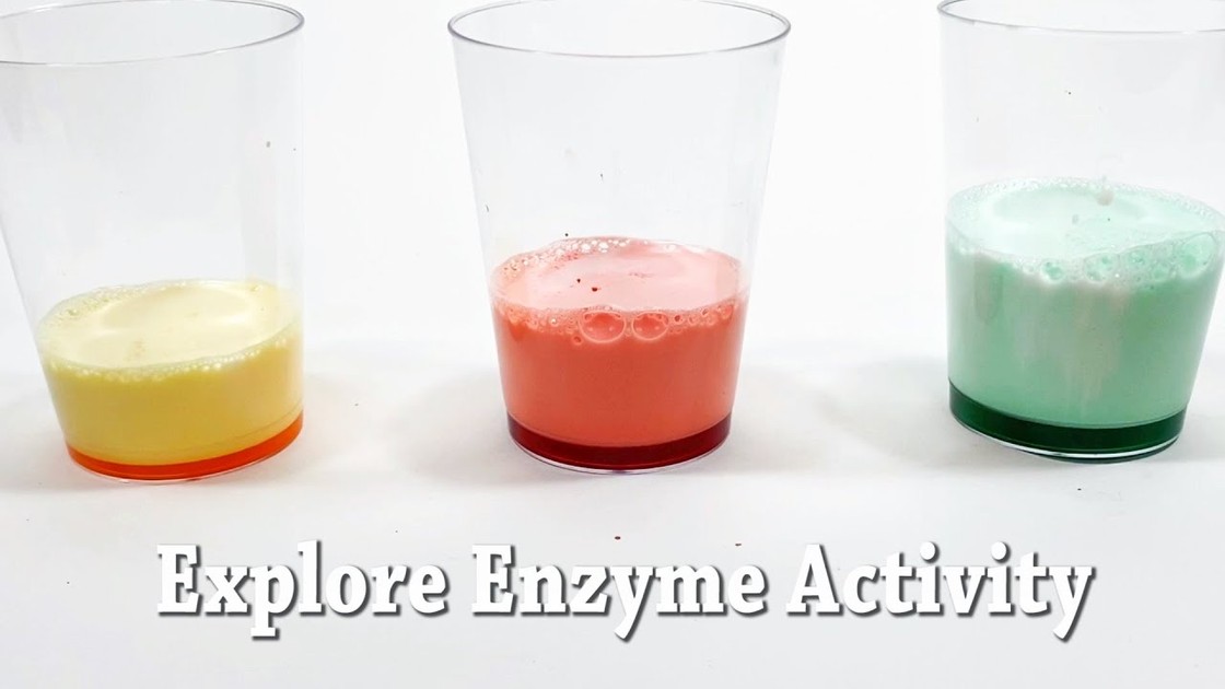 Teach Chemical Reactions - 20+ Chemistry Lessons and Activities ...