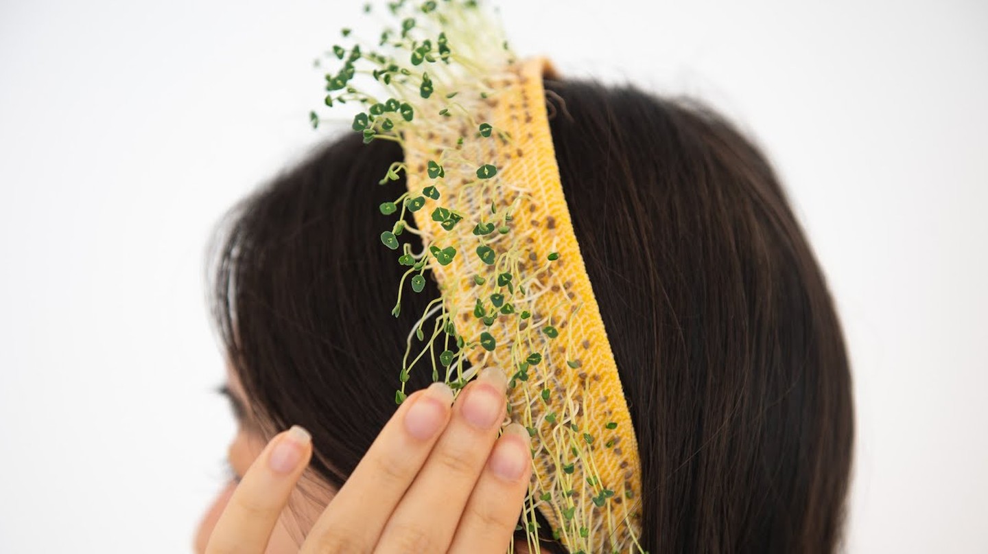 LivingLoom: Clothing With Live Plants | Science Project