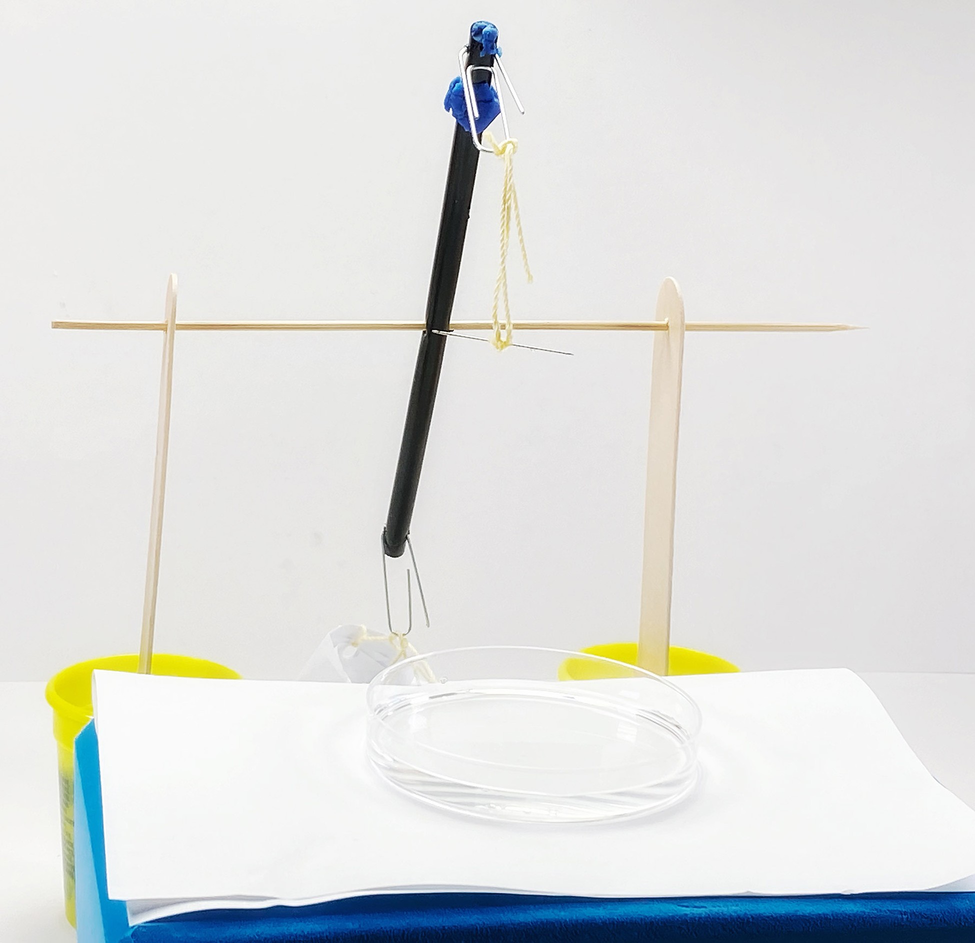 Measuring the Surface Tension of Water | Science Project