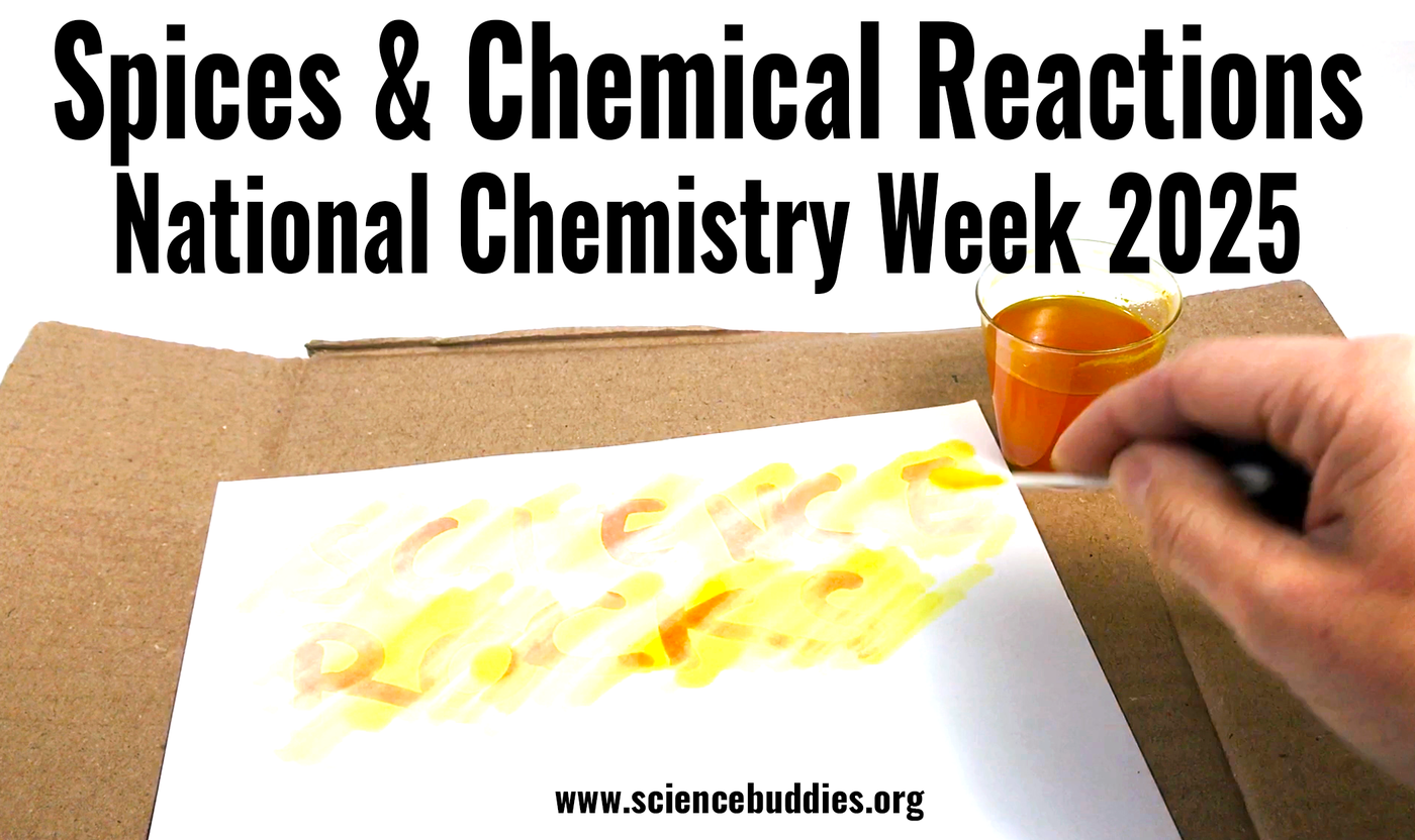 Chemical Reactions and Spice - STEM Projects for National Chemistry ...