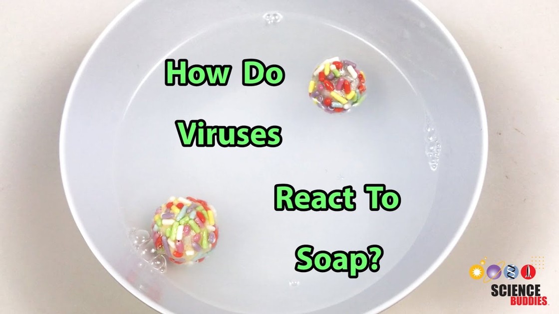 How Do Viruses React To Soap? | STEM Activity