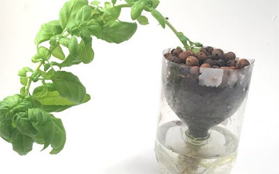 Hydroponics Made Easy Science Activity | STEM Activity