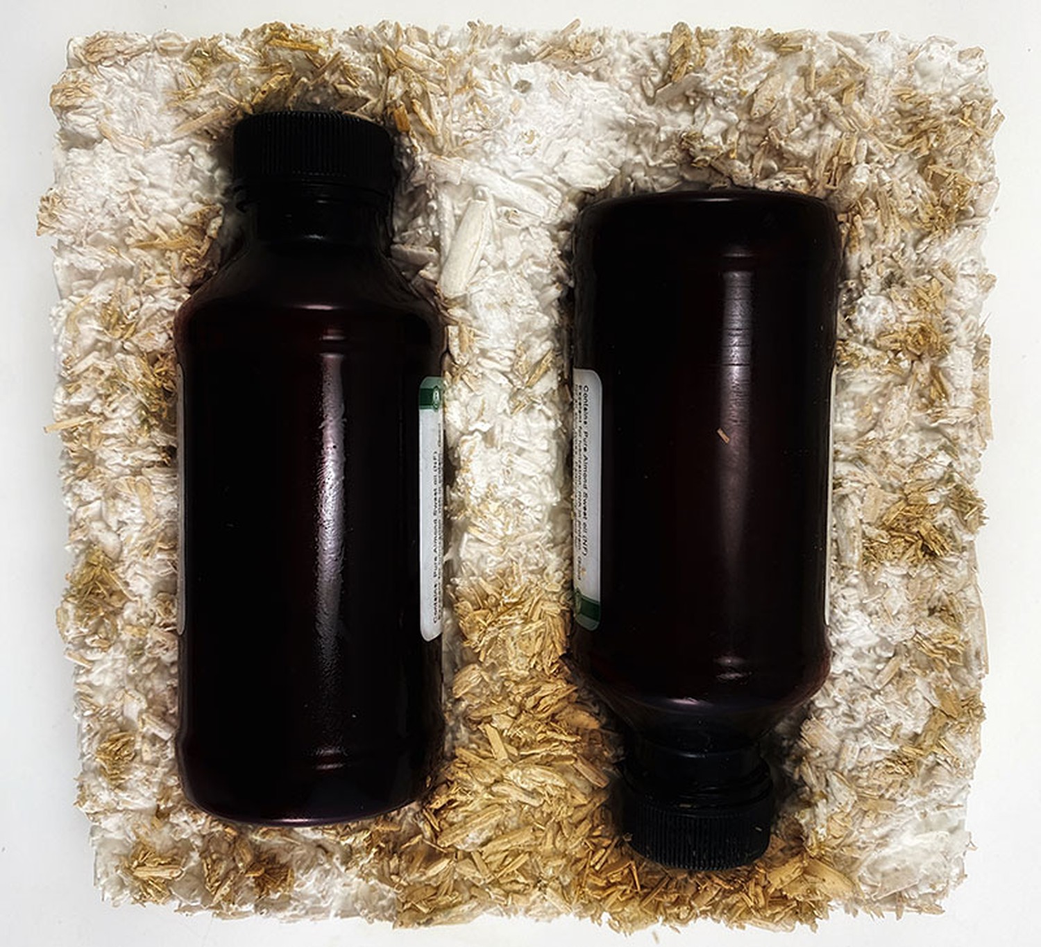 Turning Mushrooms into Environmentally Friendly Packaging | Science Project