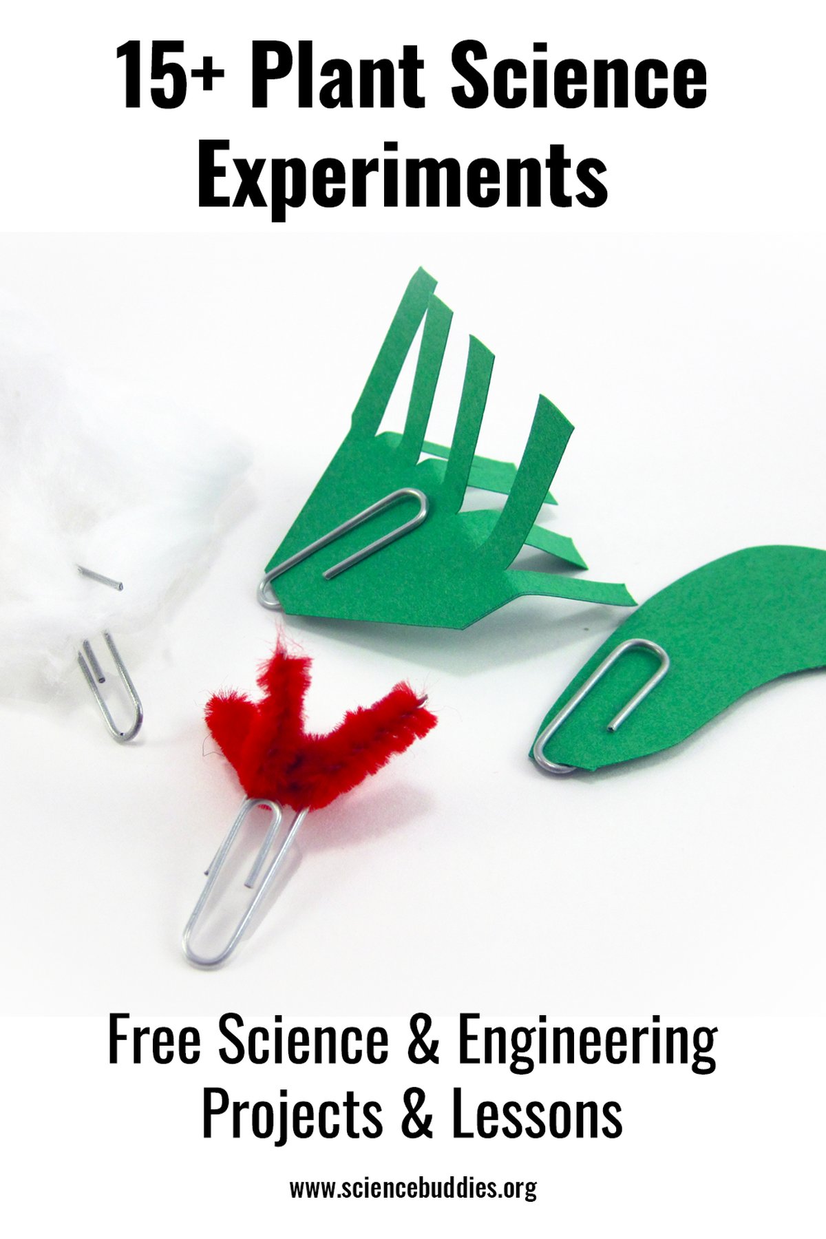 15+ Plant Science Activities and Lessons / Teach Plant Biology ...