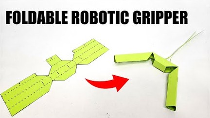 Build a Robotic Arm | Science Project