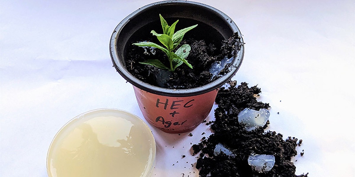 Can Biodegradable Hydrogels Help Conserve Water in Farming? | Science ...