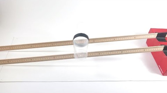 Have a Cricket Tell You the Temperature! | STEM Activity