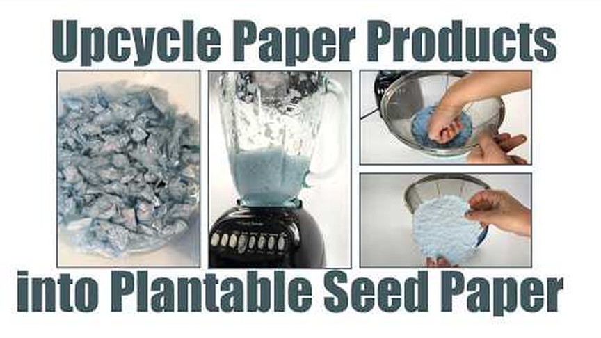 Make Sustainable Fabrics from Seaweed | Science Project