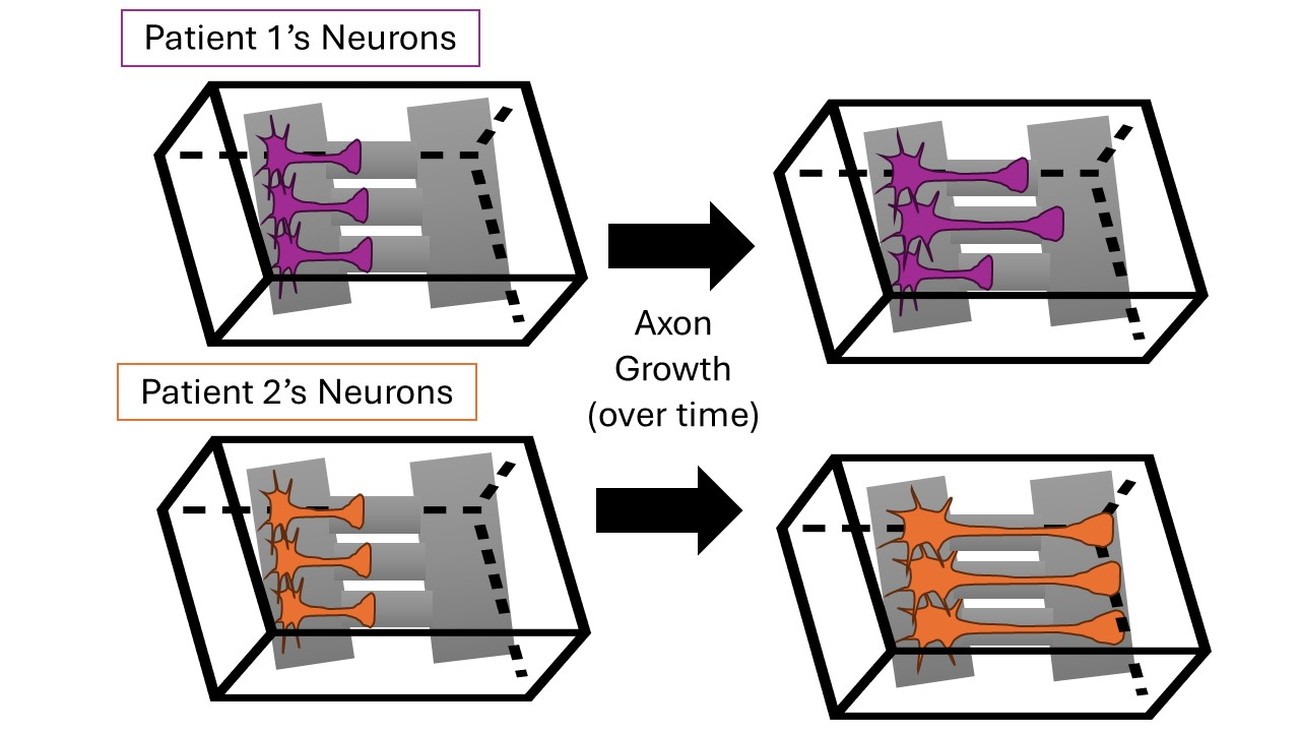 How to Build and Design Your Own Microfluidic Device at Home | Science ...