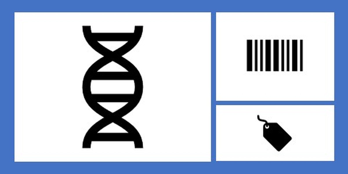Using Synthetic DNA as a Secret Barcode | Science Project