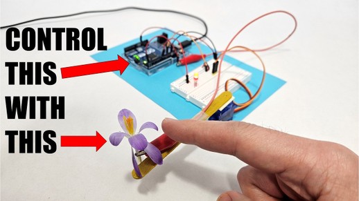 Science Fair Project Ideas, Answers, & Tools
