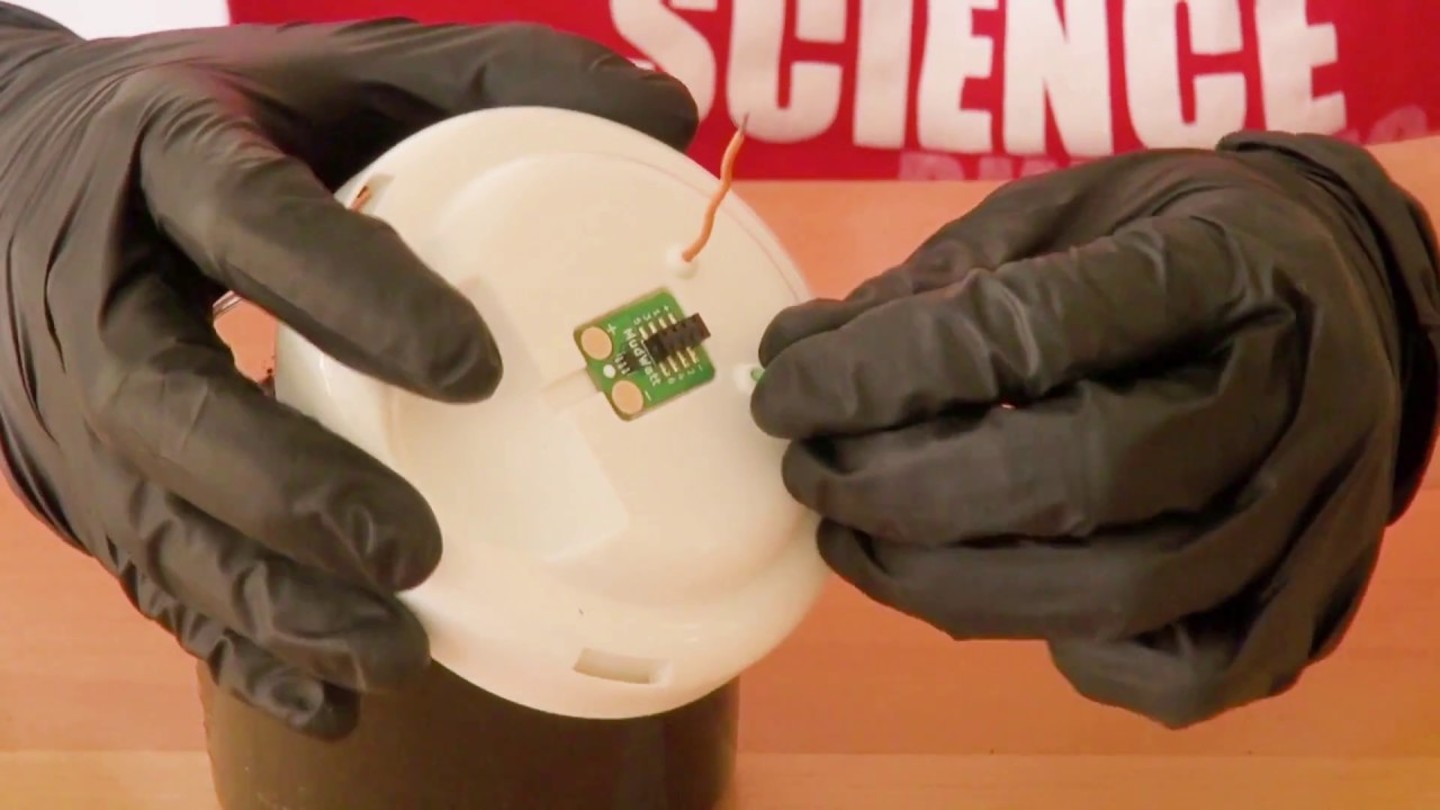 Turn Mud into Energy With a Microbial Fuel Cell | Science Project