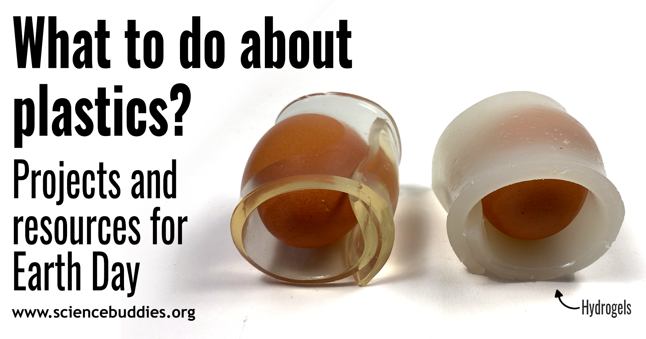 Plastics and Earth Day - Science Projects | Science Buddies Blog