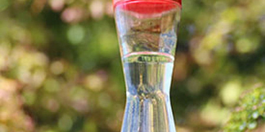 Build a Bird Feeder to Study Birds | STEM Activity