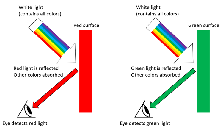 Detect Ripe Fruit with a Visible Light Circuit | Science Project