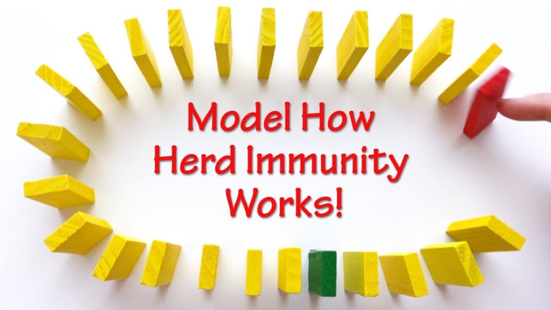Model How Herd Immunity Works | STEM Activity