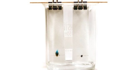 Candy Chromatography Science Kit Instructions