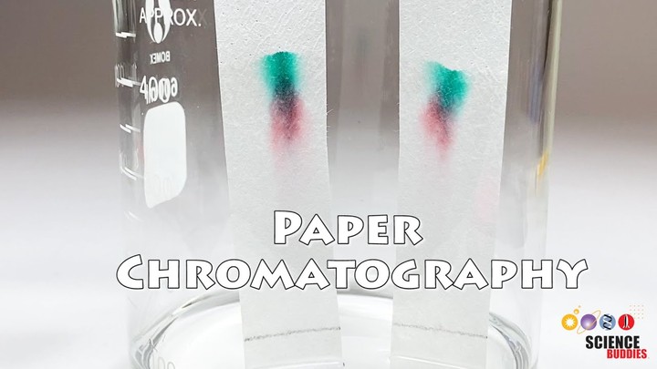 Discover Chlorophyll Variety in Different Plants Using Paper ...