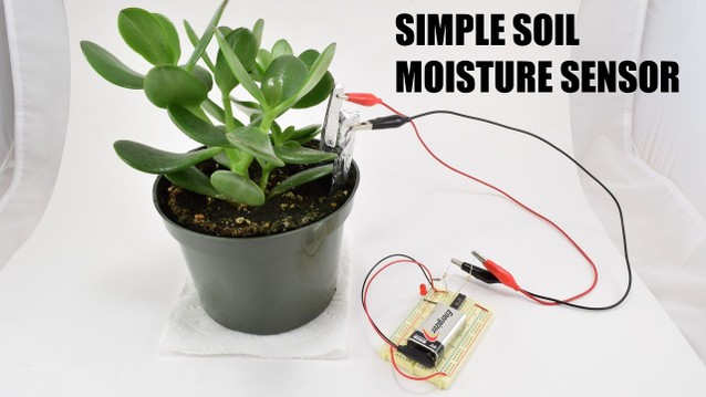 Monitor Your Plants with a Soil Moisture Sensor | Science Project