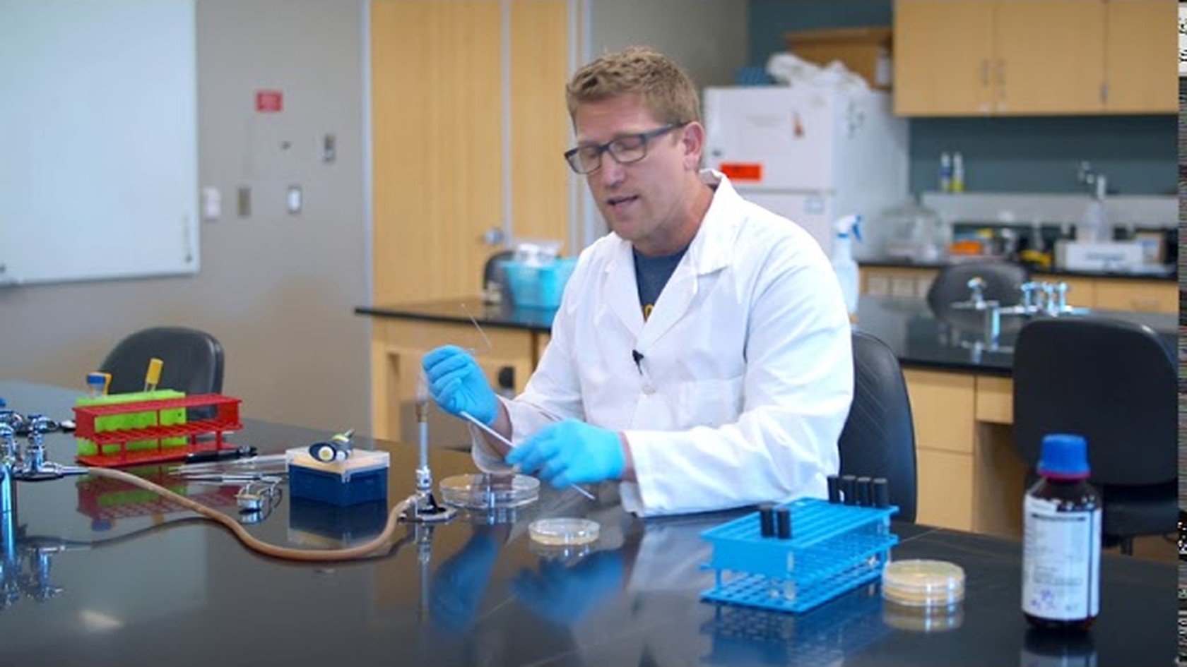 How To Grow Bacteria on Agar Plates