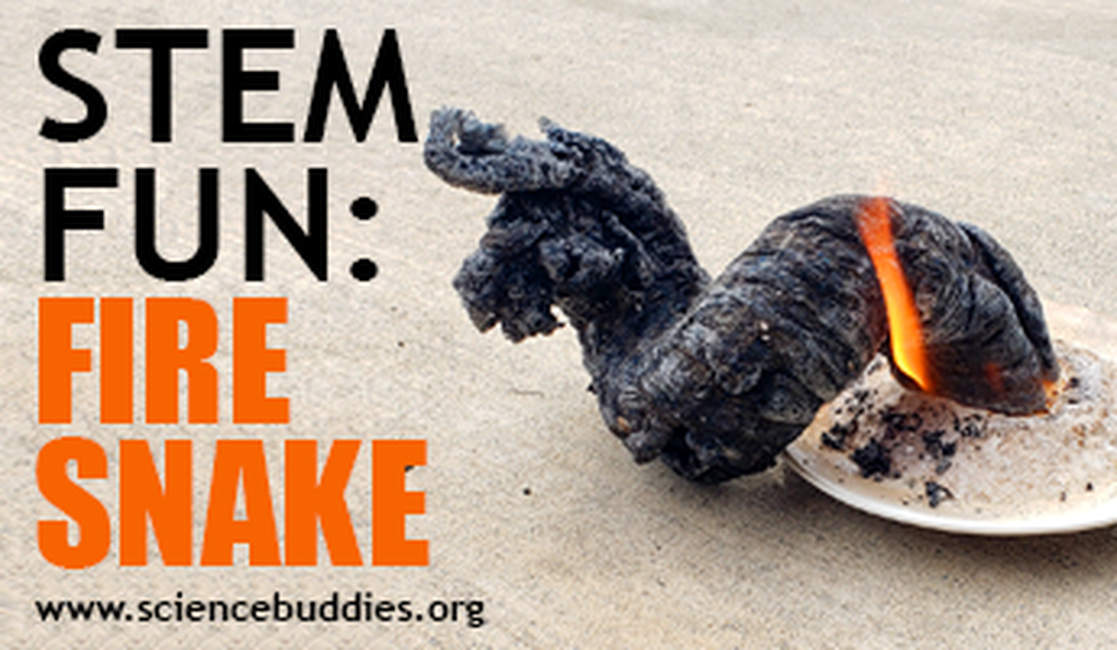 24 Halloween Science Projects and Experiments! - Halloween STEM ...