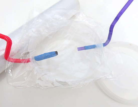 Explore Biodiversity Using a Homemade Bug Vacuum! | STEM Activity