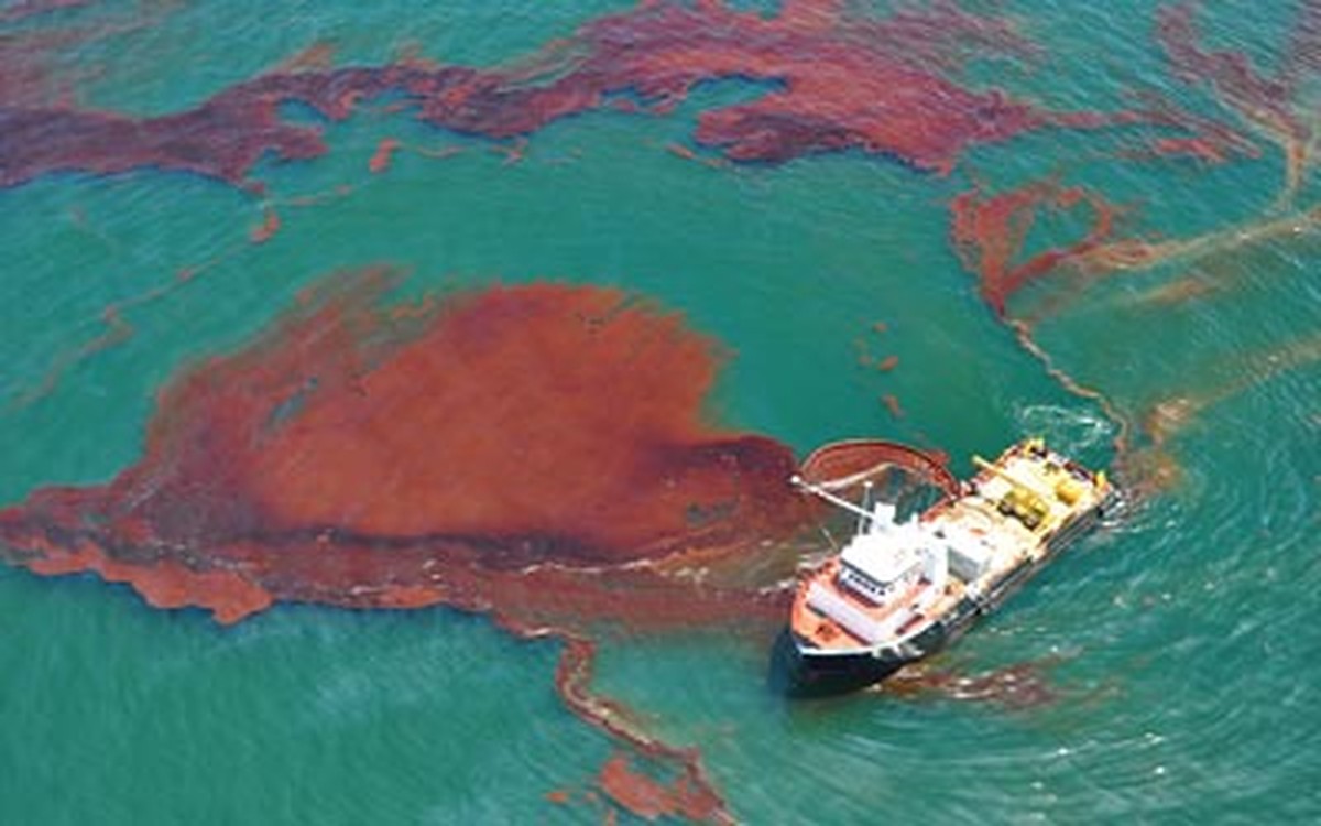 Oil Spills | Science Project