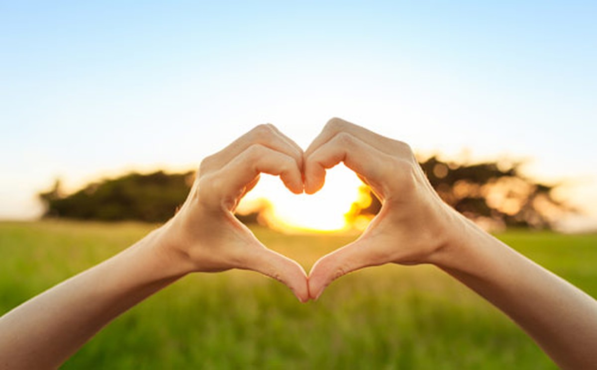 A Day in the Life of Your Heart | Science Project