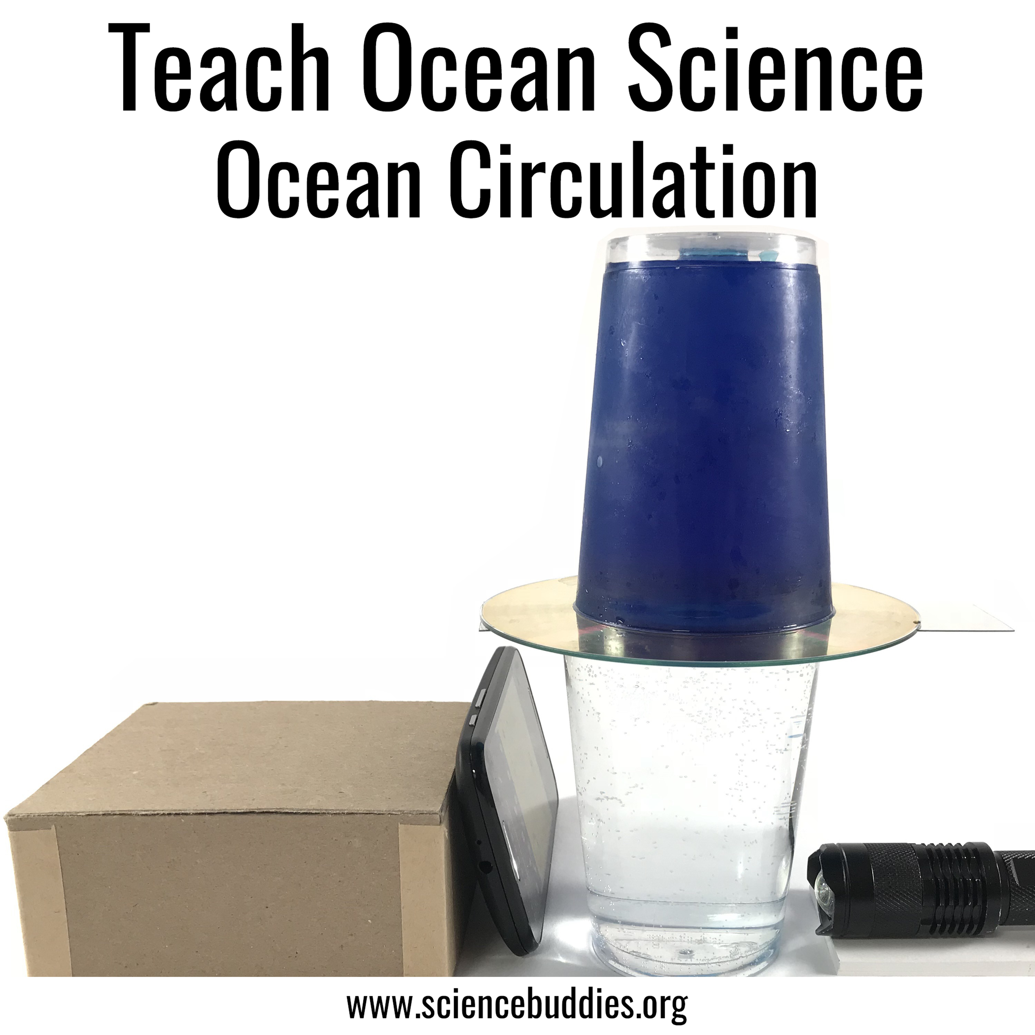 Ocean Science Projects, Lessons, and Experiments | Science Buddies Blog