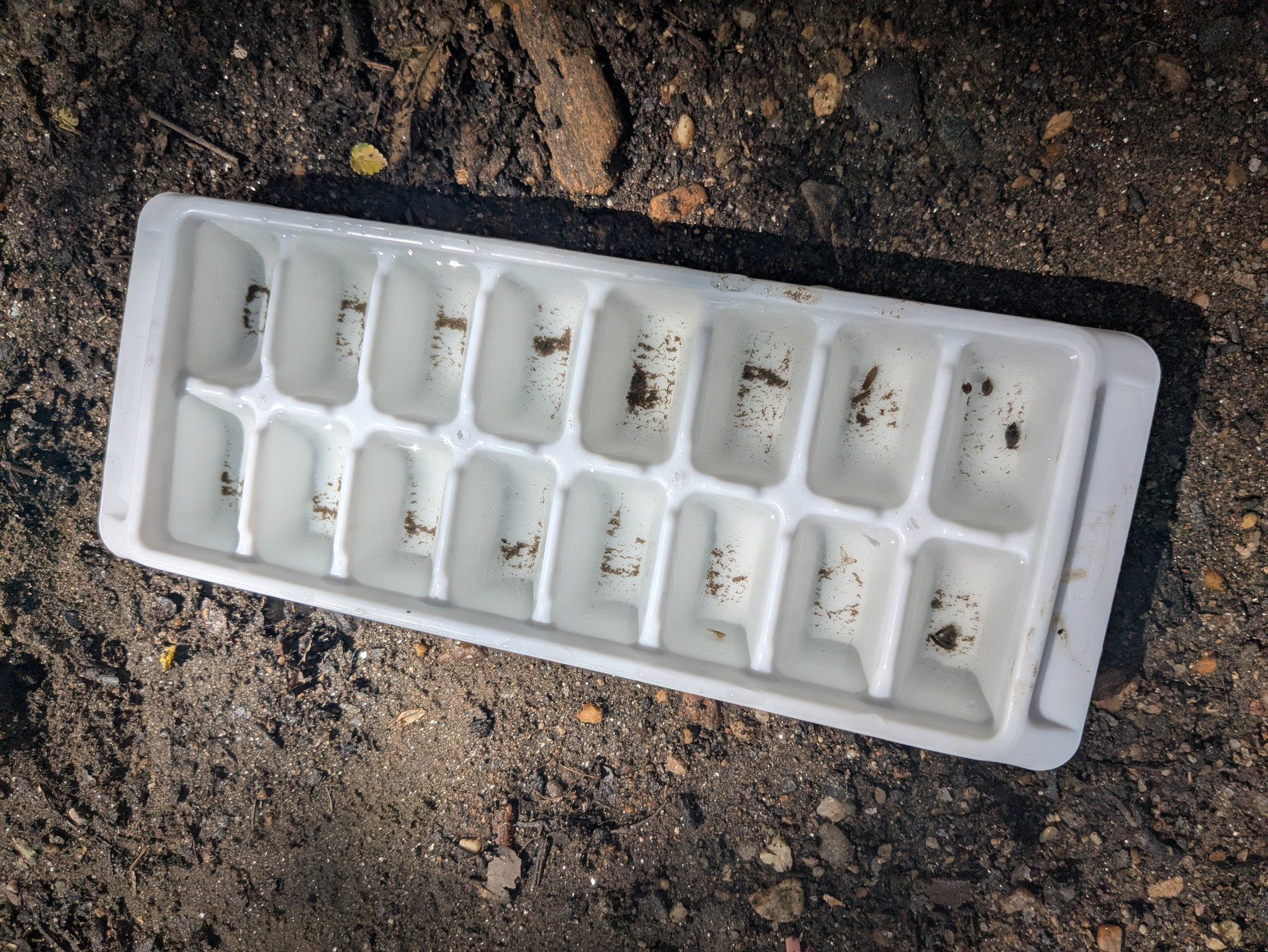 Biodiversity of Macroinvertebrates suceptible to pollution can be used ...