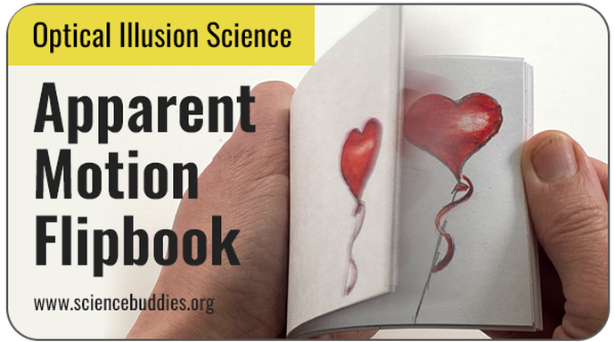 Optical Illusion Science Projects | Science Buddies Blog