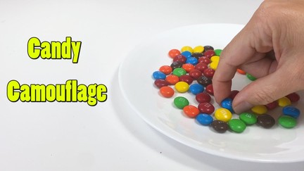 14 Candy Science Experiments and Candy STEM Activities | Science ...