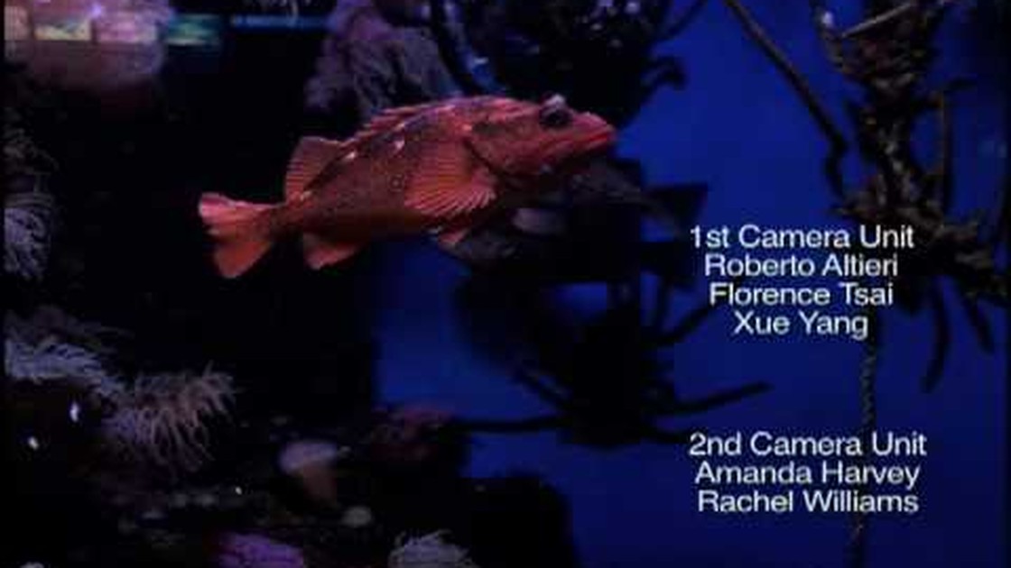 Aquarist | Science & Engineering Career