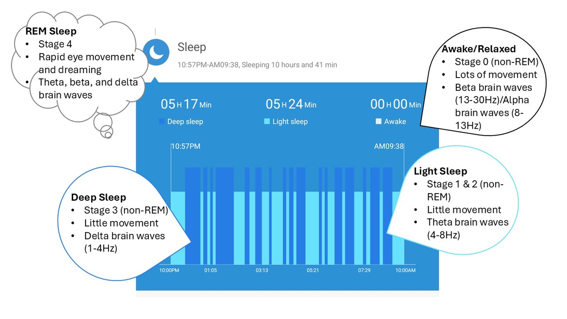 Learn about the Circadian Rhythm's influence on the brain by tracking ...