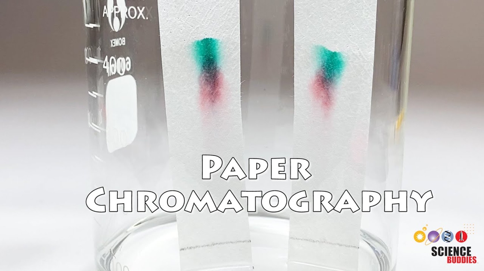 Candy Chromatography: What Makes Those Colors? | Science Project