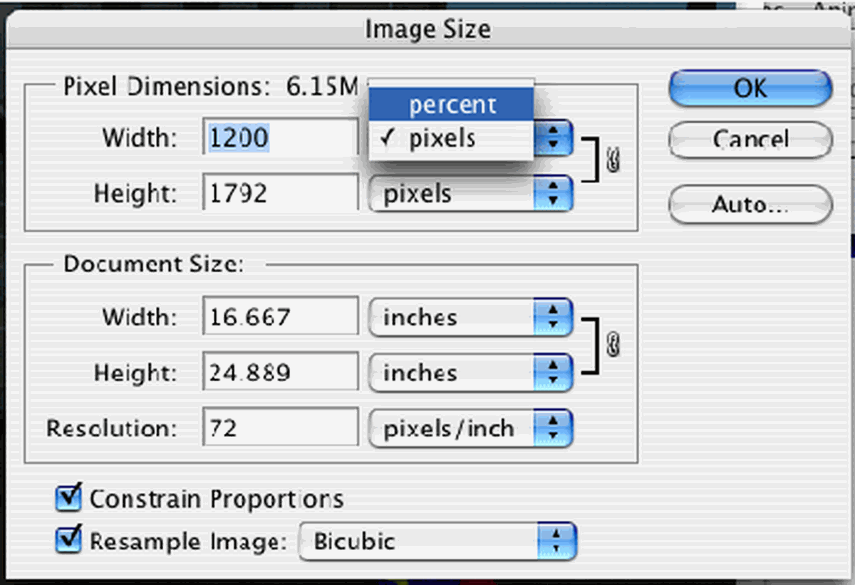 Digital Photo Resolution | Science Project