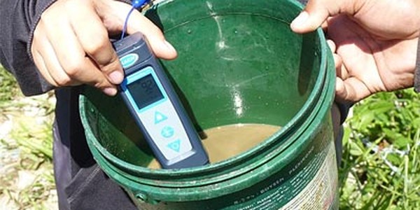Experiment with Water Quality Science Projects