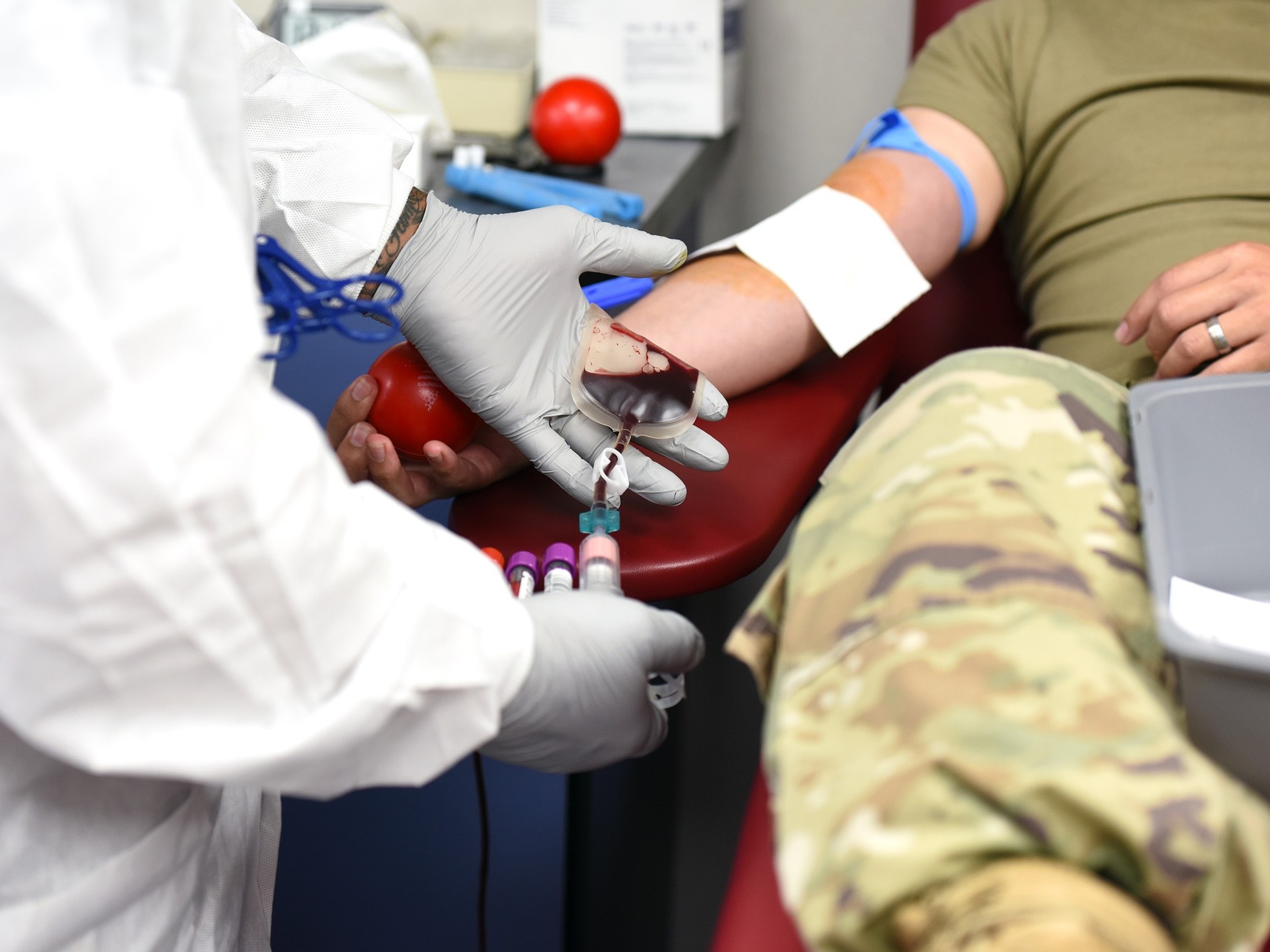 Phlebotomist | Science & Engineering Career