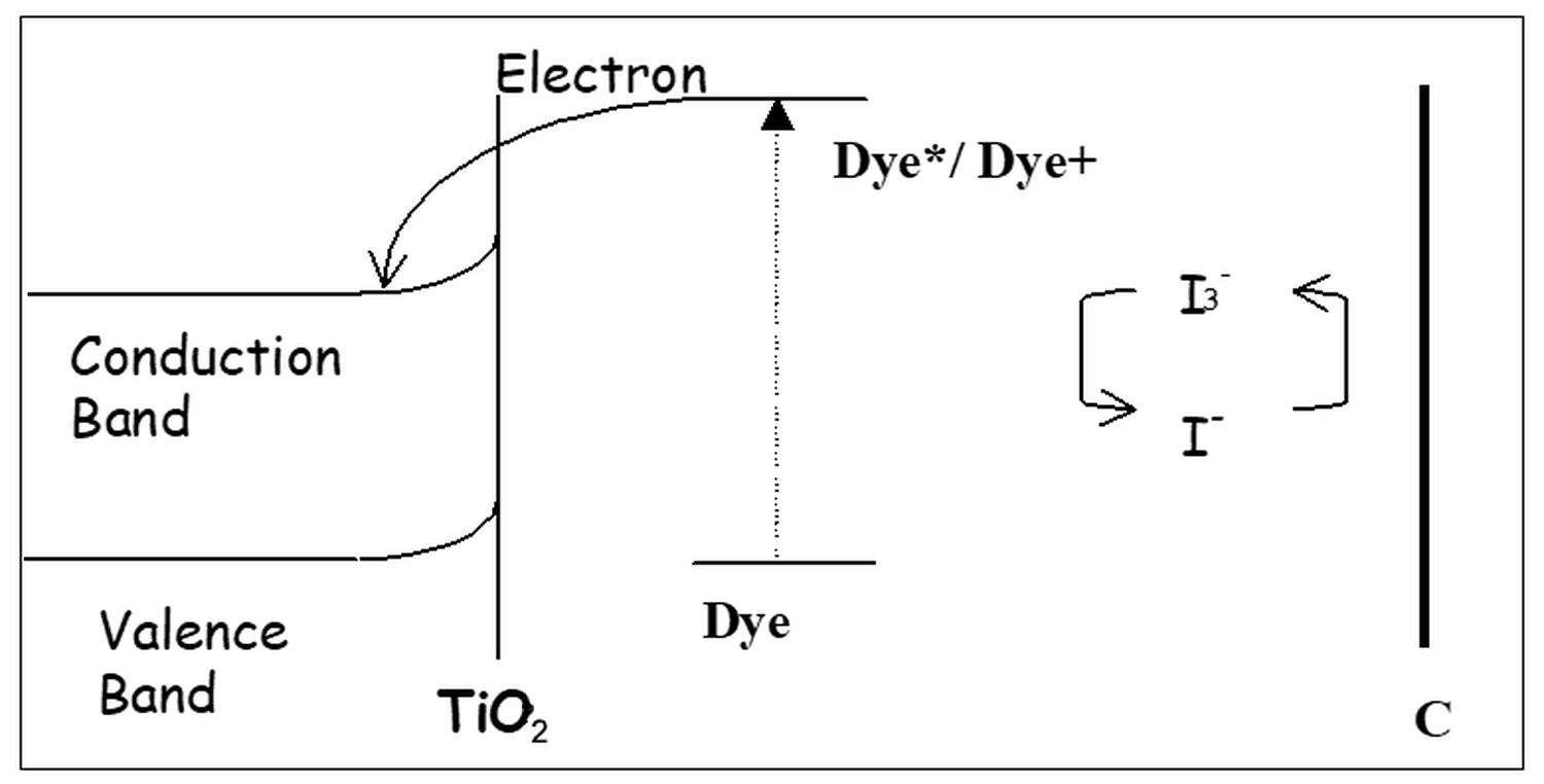 Make a Dye-Sensitized Solar Cell | Lesson Plan