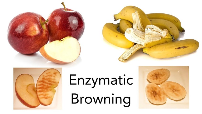 Why Does Fruit Turn Brown? | Science Project