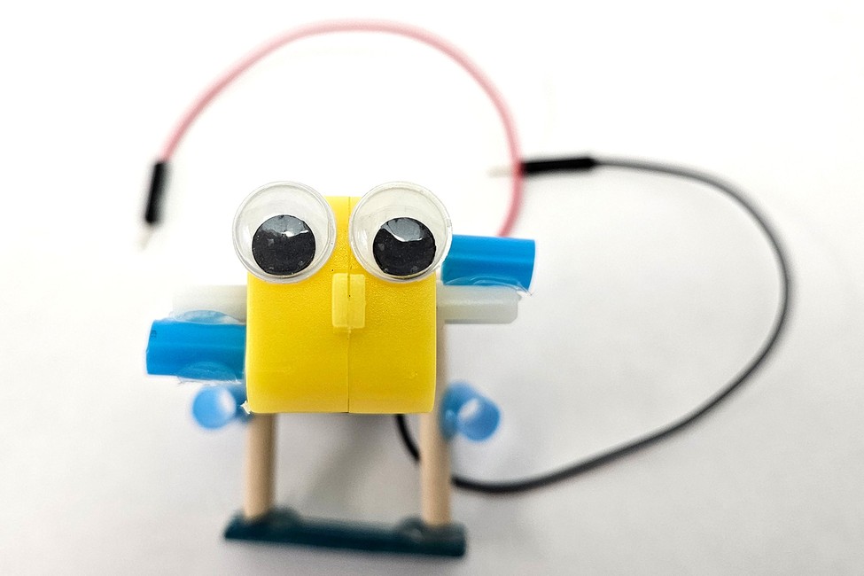 Build a Simple Walking Robot | Science Project