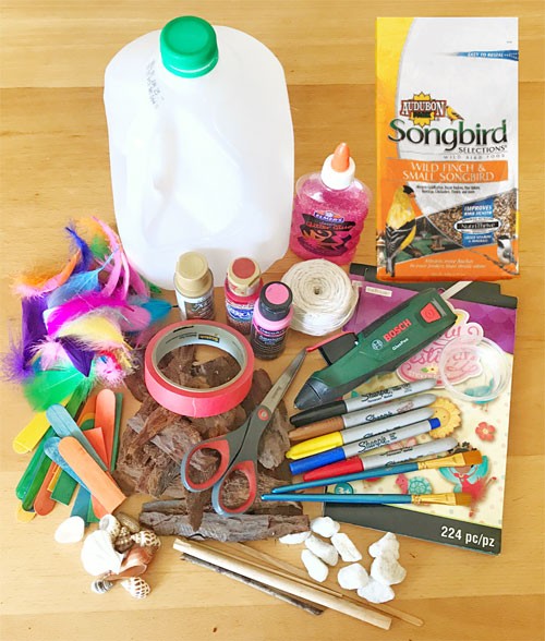Build a Bird Feeder and Study the Birds in Your Backyard! | Science Project