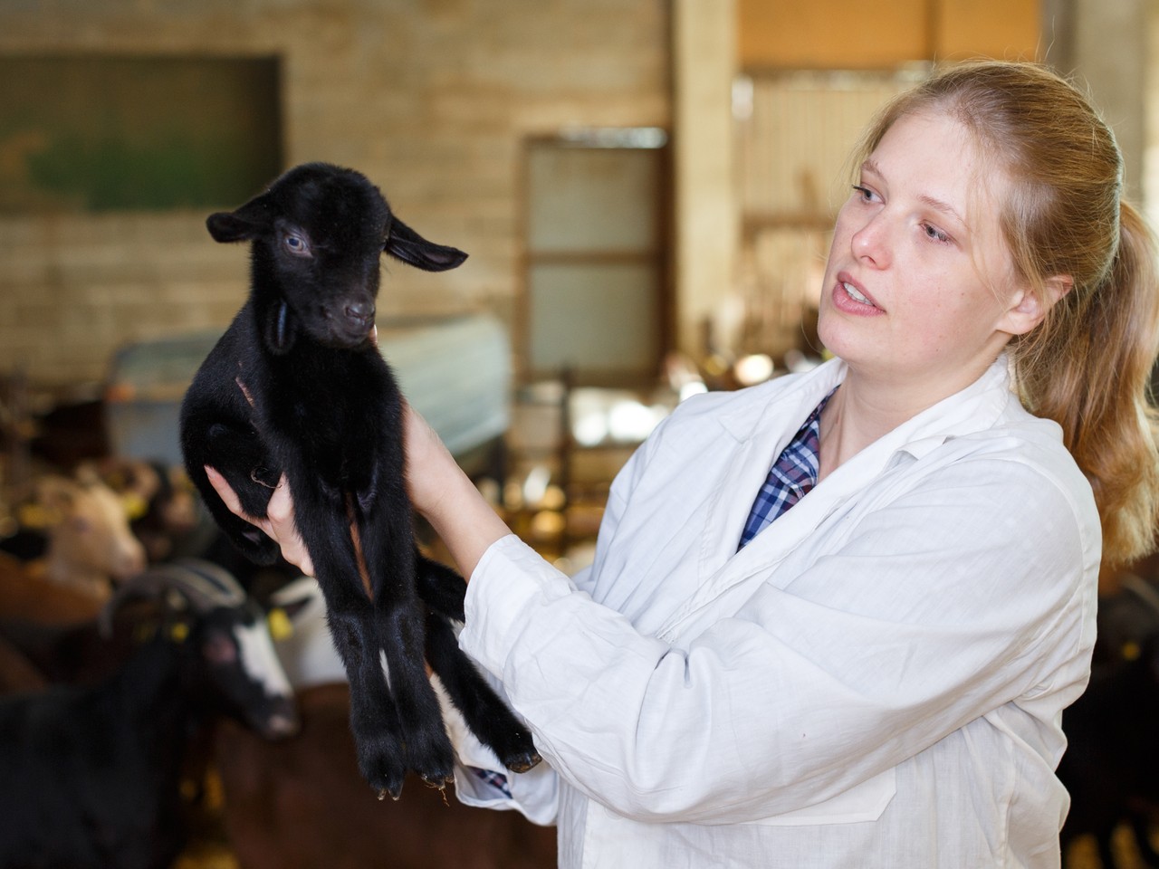 Animal Breeder | Science & Engineering Career