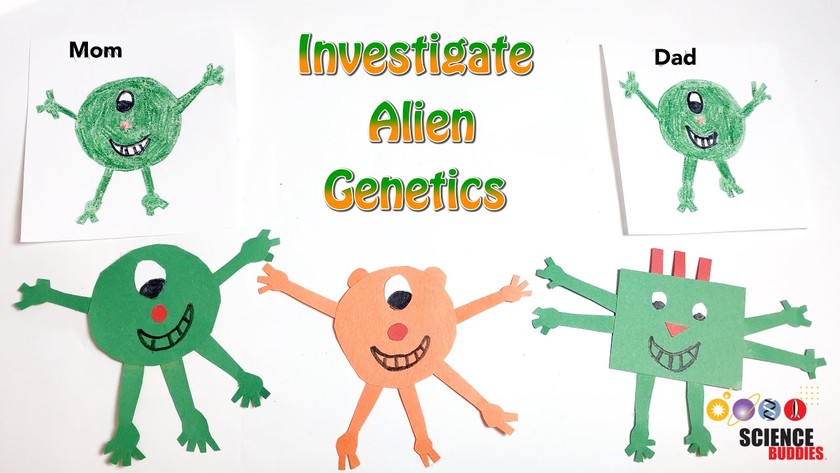Investigate Alien Genetics | STEM Activity