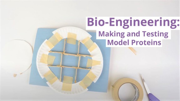 11+ Engineering Challenges for High School | Science Buddies Blog