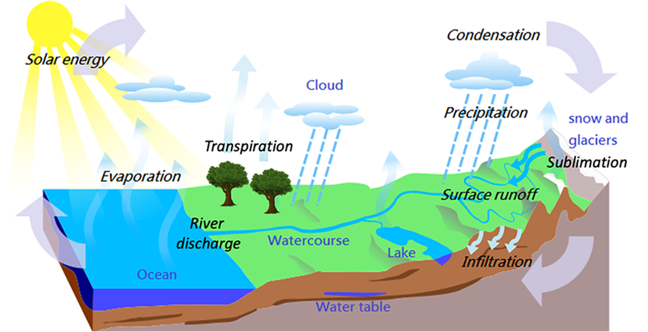 Make a Miniature Water Cycle Model | STEM Activity